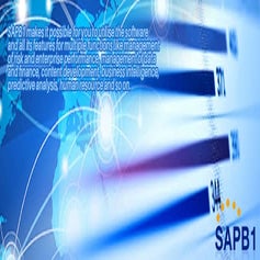 Sapb1 Services Singapore | PDF | Business | Business and Finance
