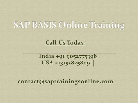 SAP BASIS Daily Monitoring T - codes | PDF