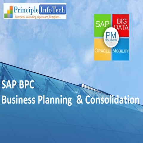 SAP BPC | SAP BUSINESS PLANNING & CONSOLIDATION | BPC SERVICES | PPT