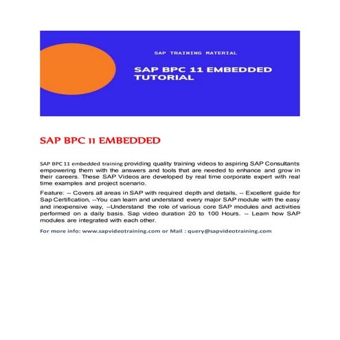 Sap Bpc 11 Embedded | PDF