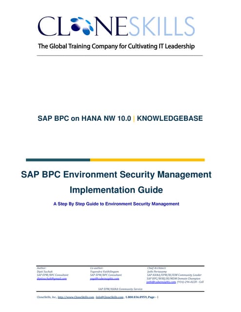 Step by step guide to formatting the SAP BPC EPM Sheet | PDF