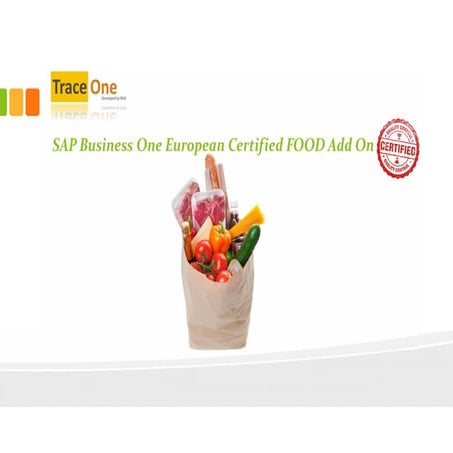 Sap Business One Food Project 2016 | PDF