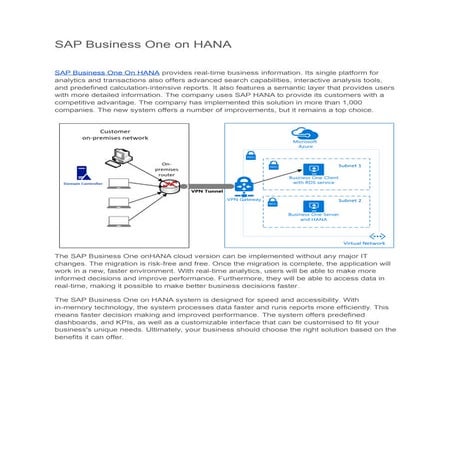 SAP Business One on HANA | PDF