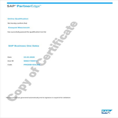 Sap Business One Sales Certificate | PDF