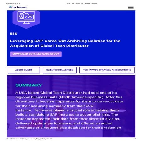 Challenges and Solutions in SAP Carve Out Projects.pdf