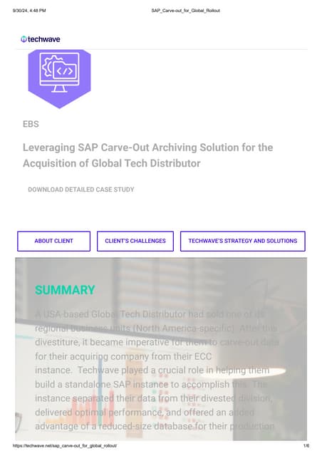 Sap Carve Out For Global Rolloutpdf