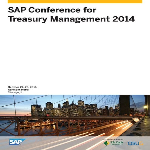 SAP Treasury Management | PDF
