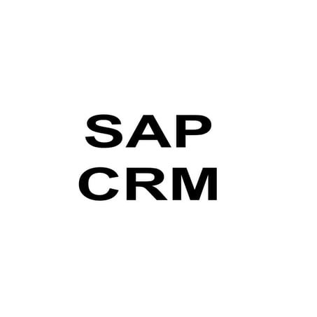 SAP CRM | PDF
