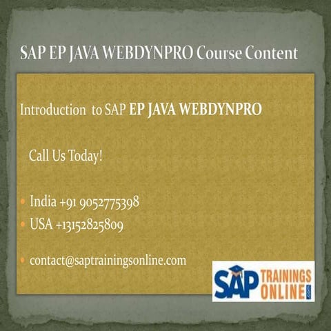 SAP EP JAVA WEBDYNPRO Training Course ,SAP Training Online | PPT