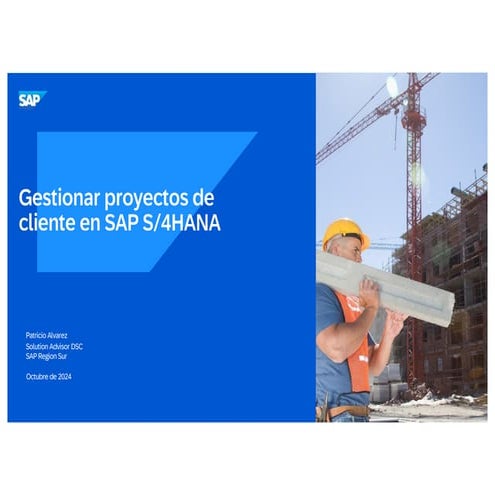 Gestionar proyectos de cliente en SAP S/4HANA | PDF