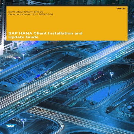 SAP GUI Installation Guide for Windows | Step-by-Step Setup for SAP Access | PDF