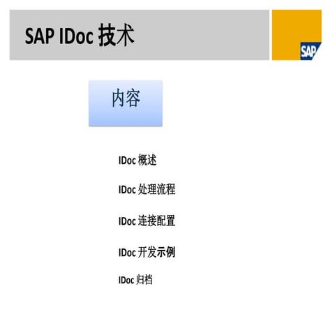 SAP_IDoc.pdf