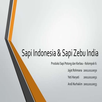 Sapi Indonesia & Sapi Zebu India JAY | PPTX