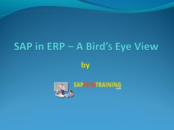 5 Simple Steps to Value - access the Customer Journey Map for SAP Fiori | PDF