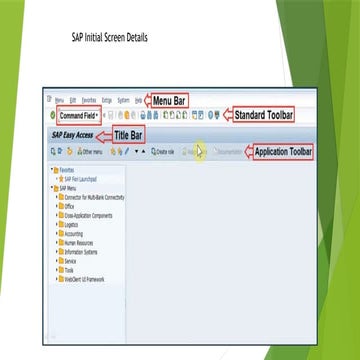 SAP Initial screen details with information required.pptx