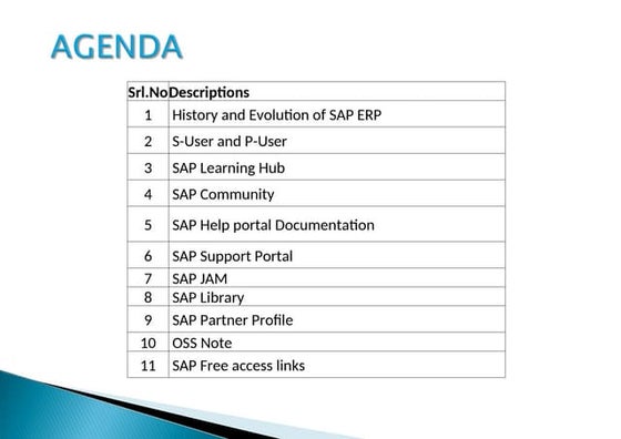 sap-private-cloud-user-metering-guideline.pdf