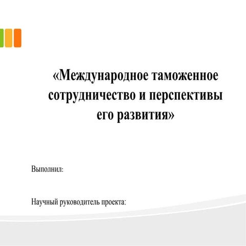 дипломная презентация таможенное сотрудничество Ppt