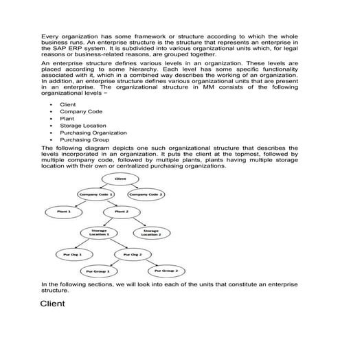 SAP MATERIAL MANAGEMENT Organization Structure.docx
