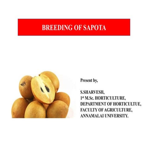 Breeding of sapota | PPTX