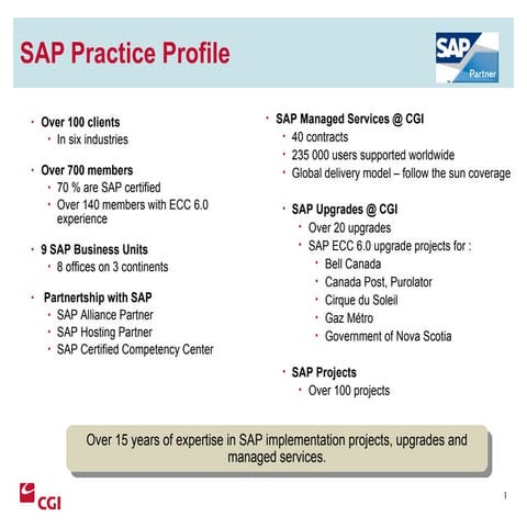 Sap Practice Profile 2010.Ppt V2 | PPT