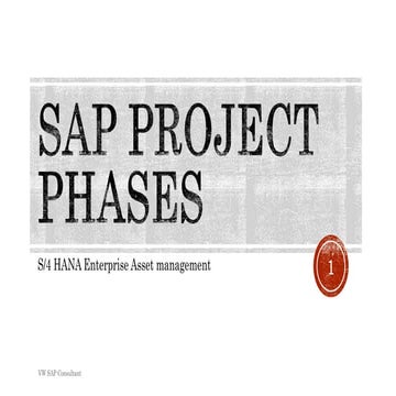 The Project Phases in an sap implementation project | PPTX