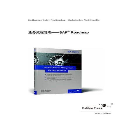 业务流程管理————Sap roadmap | PDF