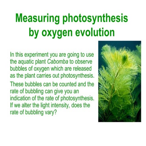 SAPS-Photosynthesis-Survival-Guide-PPT8.ppt