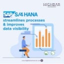 SAP S4HANA Streamline Processes & Improves Data Visibility.Ppt