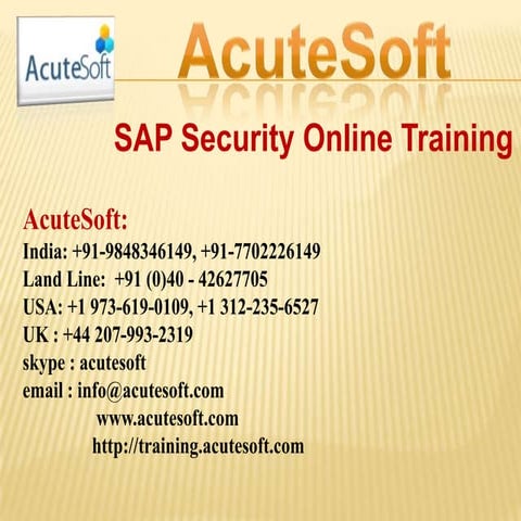 SAP SECURITY ONLINE TRAINING | PPSX