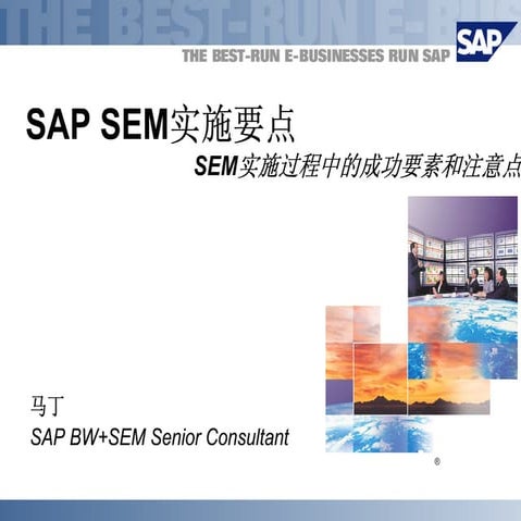 Sap sem 实施要点 | PDF