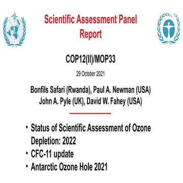 SAP_Status_of_work_MOP33_COP12(II)_Oct_29_2021.pptx