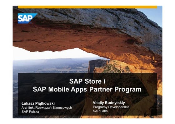 SAP ERP / SAP All-in-One | PDF