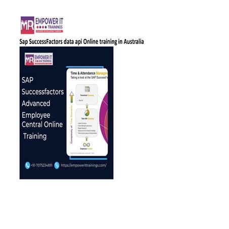 Sap SuccessFactors Data API Online Training in Australia | PDF