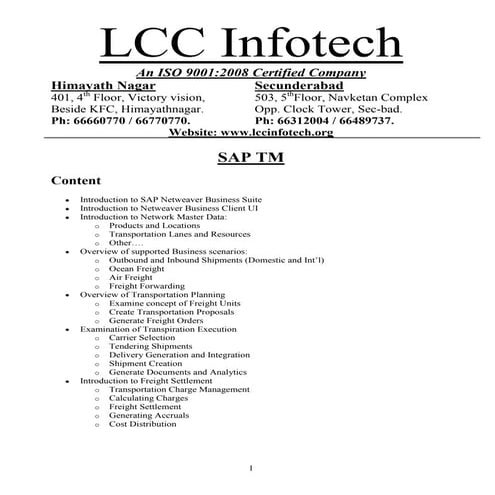 SAP TM from LCC Infotech,Hyderabad | PDF