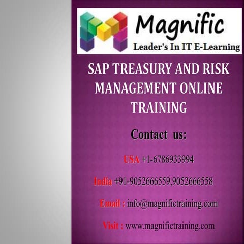 SAP TRM (Treasury and Risk Management) Configuration (1).pdf