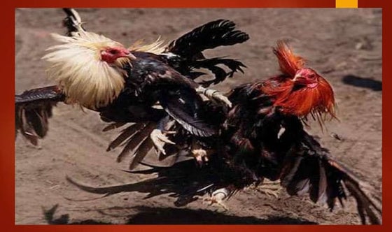 Introduction to Sets | PPSX