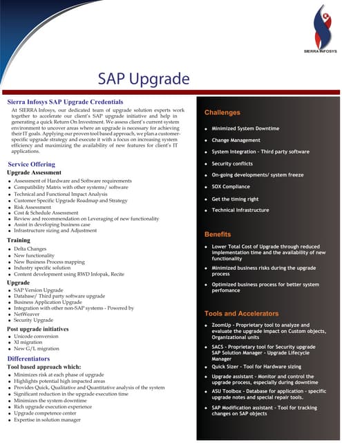 Sap Upgrade Project Brief | PPT | Technology & Computing