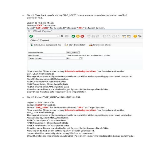 Sap user profile export & import | DOCX