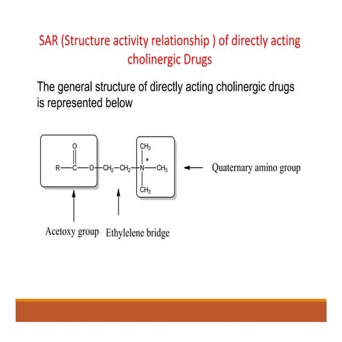 SAR-Cholinergic-drugs.pdf