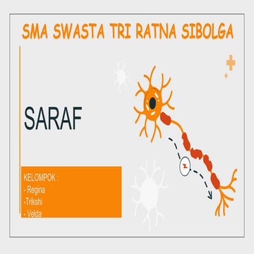 saraf.pptx