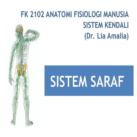sistem saraf manusia anatomi,fisiologi.ppt