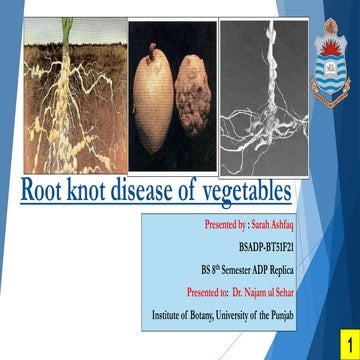 Nematode damage symptoms in crop plants | PPTX