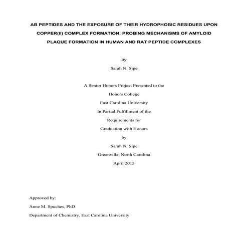 Sarah Sipe Honors Thesis April 2015 Final.pdf