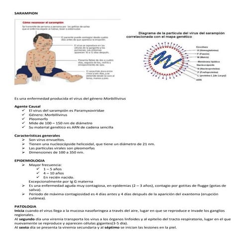 Sarampion presentación | PPTX