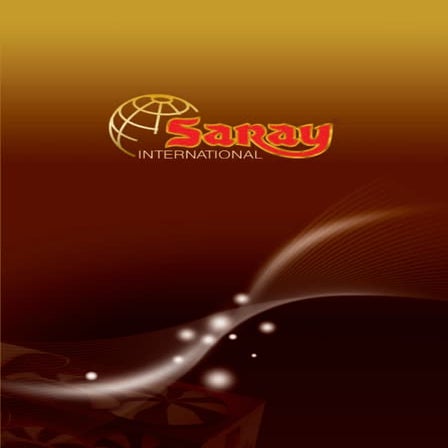 Saray Katalog Web | PDF