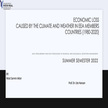 Economy Loss.pdf