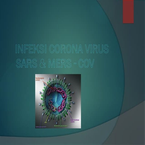 virus kind sars mers infection in human .pptx