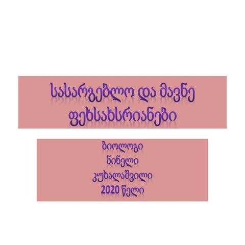 Sasargeblo da mavne mwerebi | PPTX