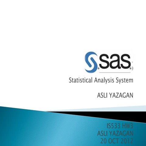 Sas Presentation | PDF