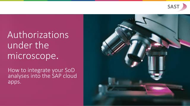 Sast Authorization Management How To Integrate Your Sod Analysis Into